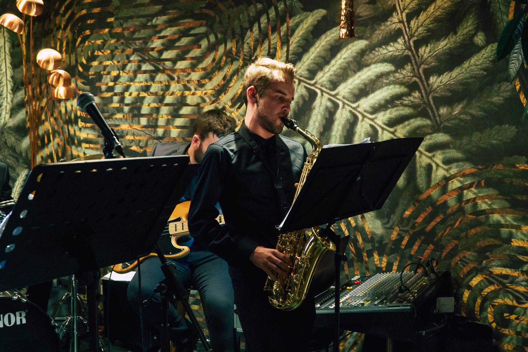 Ambassadors profiles 2019